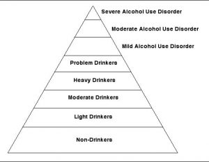 Interview with Dr. Christopher Holden – The Chicago Council on Science ...