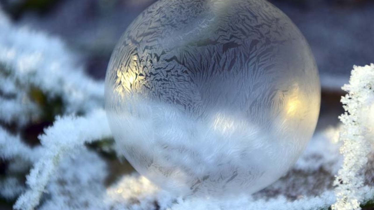C2ST Science at Home: Winter Wonder Experiments – The Chicago Council ...