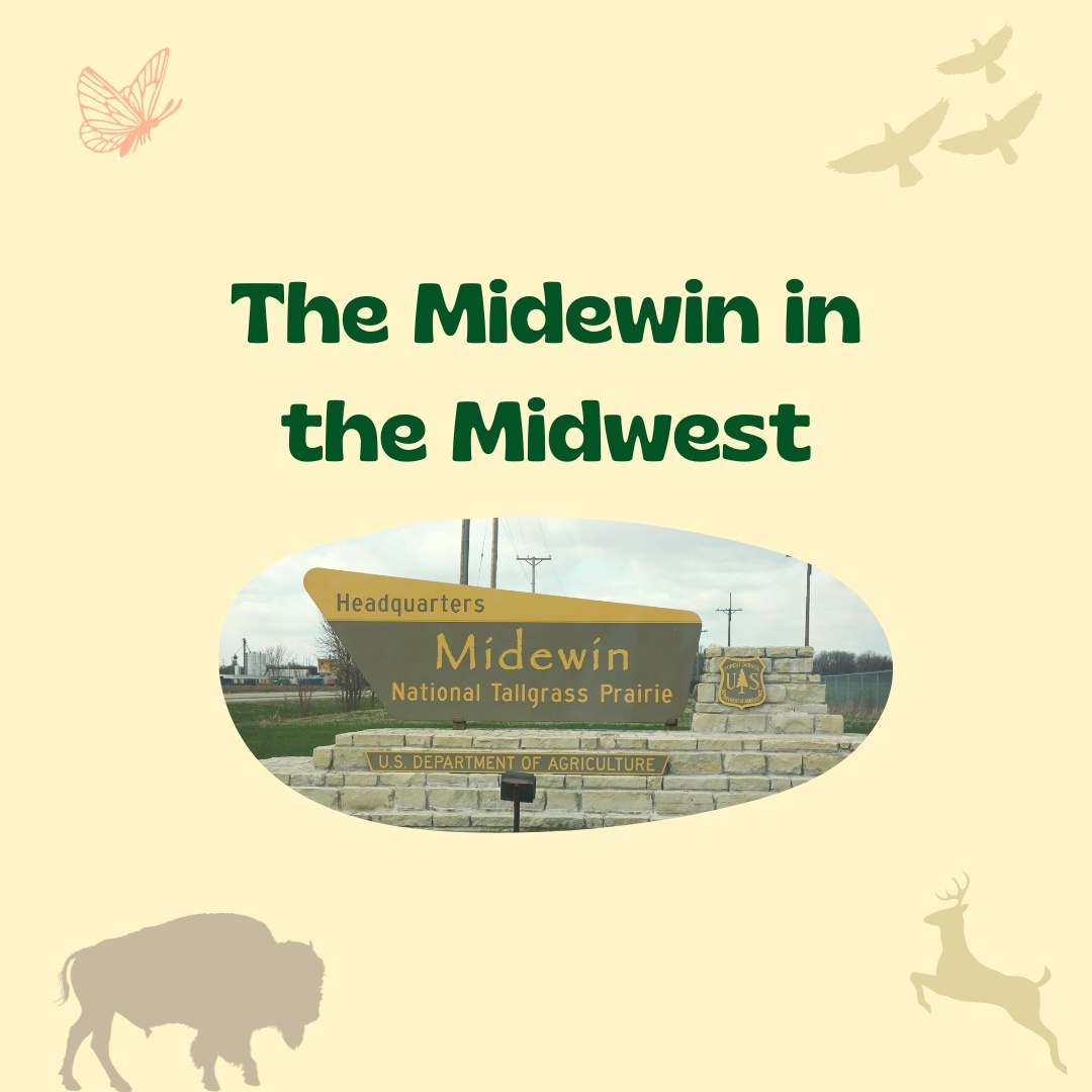 The Midewin in the Midwest – The Chicago Council on Science and Technology