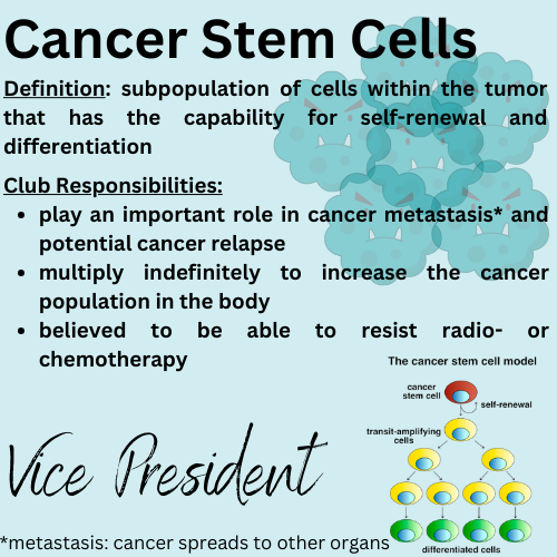 Cancer Cell Club Meeting – The Chicago Council on Science and Technology