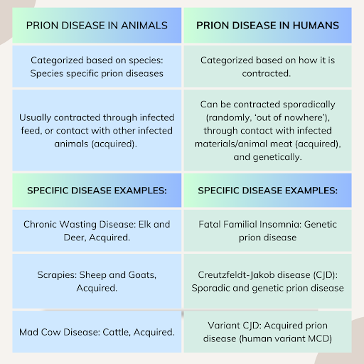 The Malevolent, Misfolding Protein: Meet the Prion – The Chicago ...