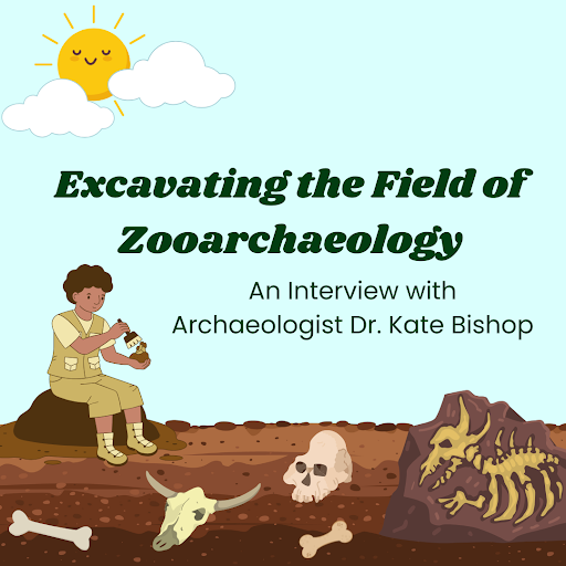 Excavating the Field of Zooarchaeology: An Interview With Archaeologist ...