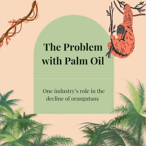 The Problem with Palm Oil: One Industry’s Role in the Decline of ...